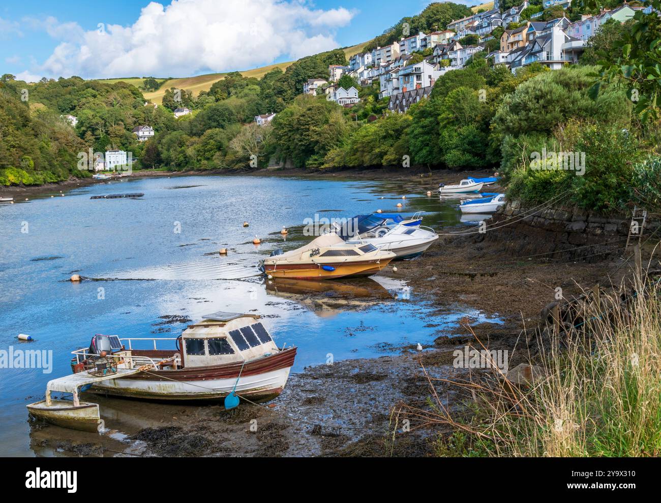 Historic passenger steam train Kingswear, Devon, UK. The train has been ...