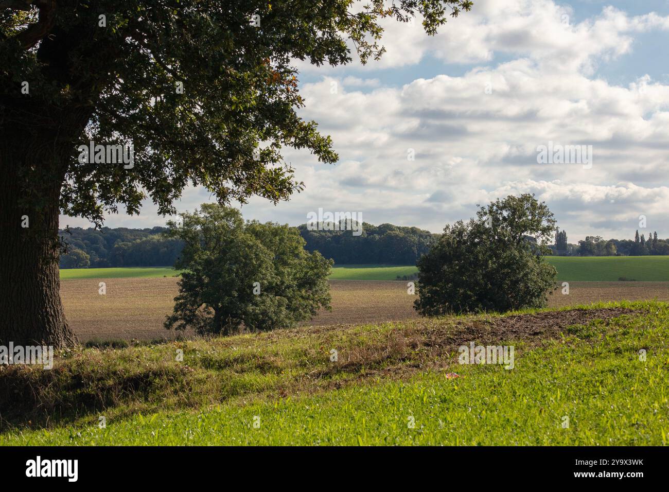 Rural Idyll: Intimate landscape of farm fields, hedges and trees on the ...