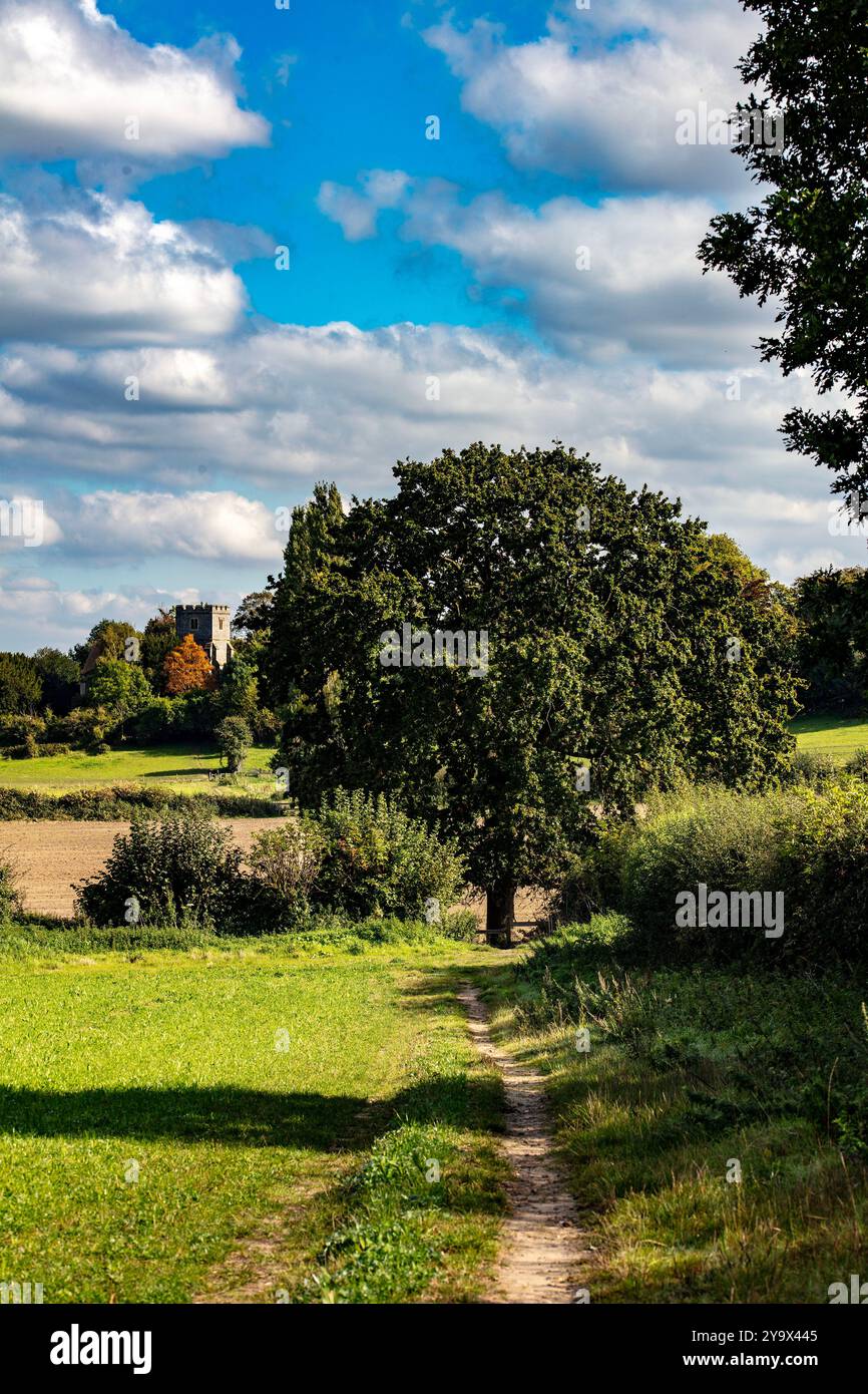 Rural Idyll: Intimate landscape of farm fields, hedges and trees on the ...