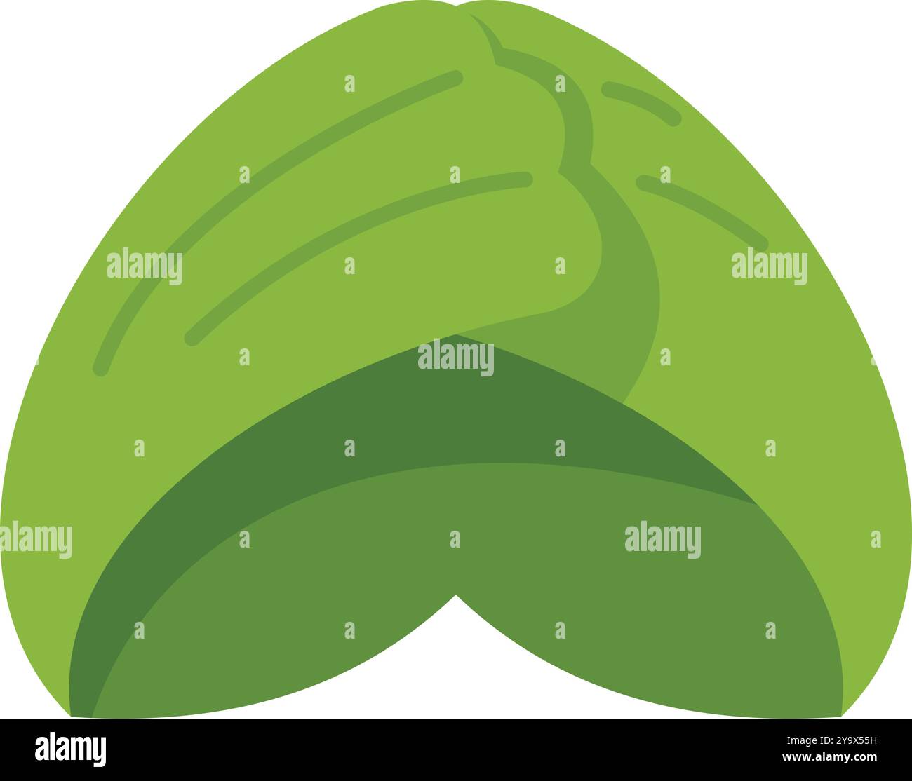 Green indian turban, a traditional headwear signifying culture and ...