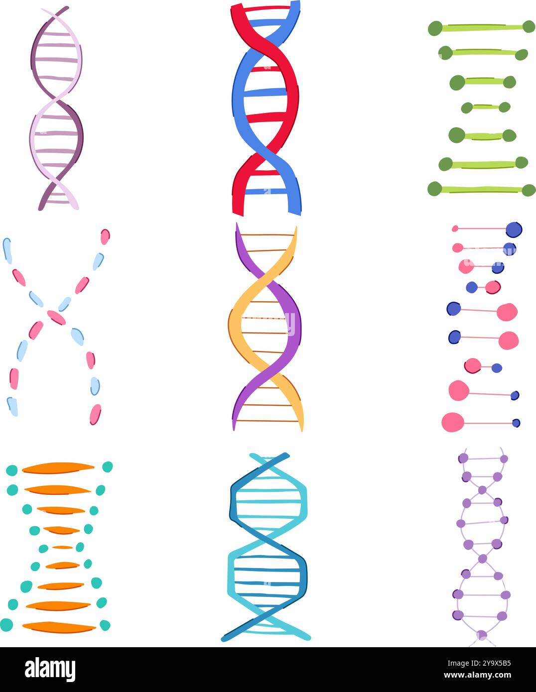 dna spiral set cartoon vector illustration Stock Vector Image & Art - Alamy