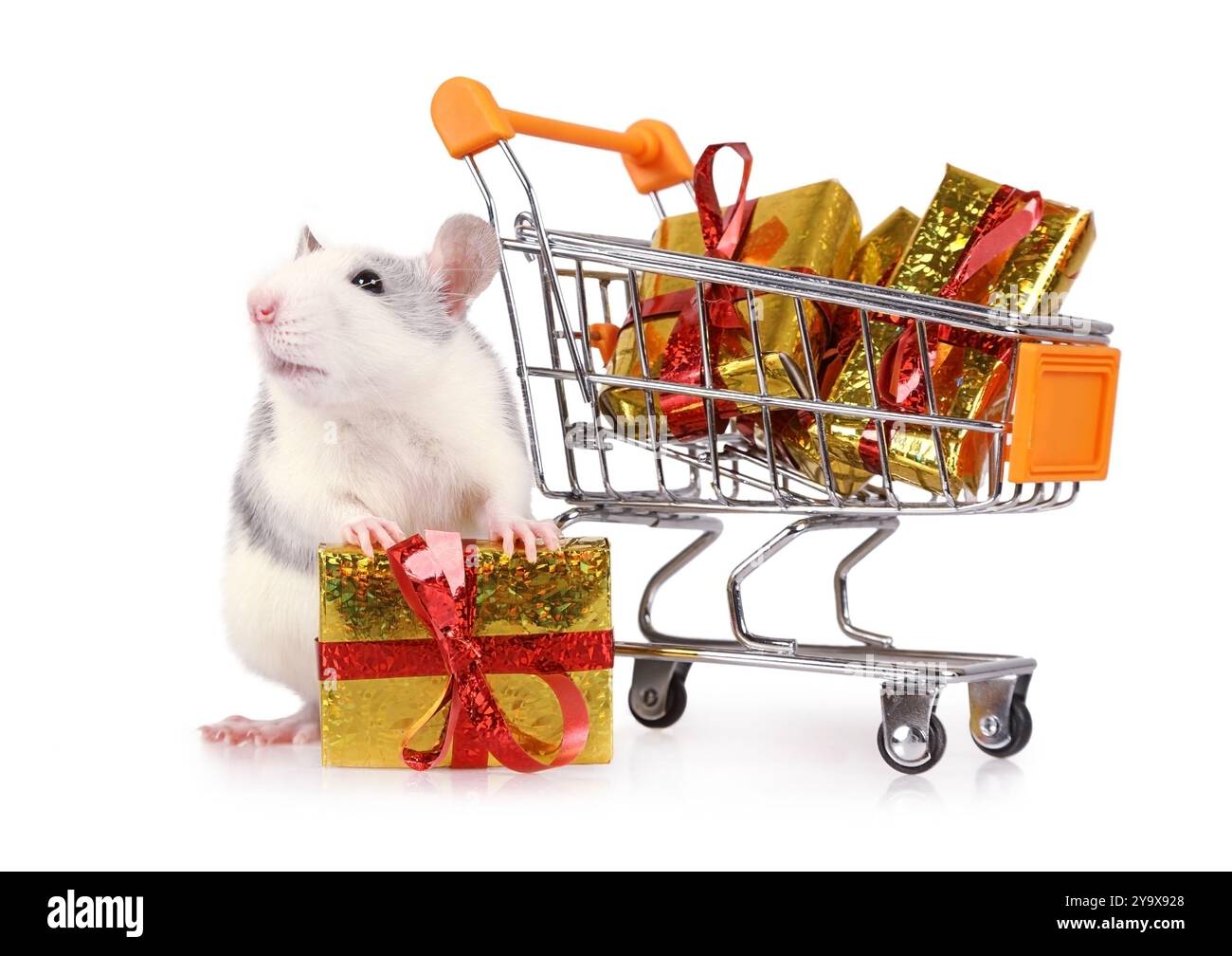 Small cute rat with gift box next to shopping cart full of gifts ...