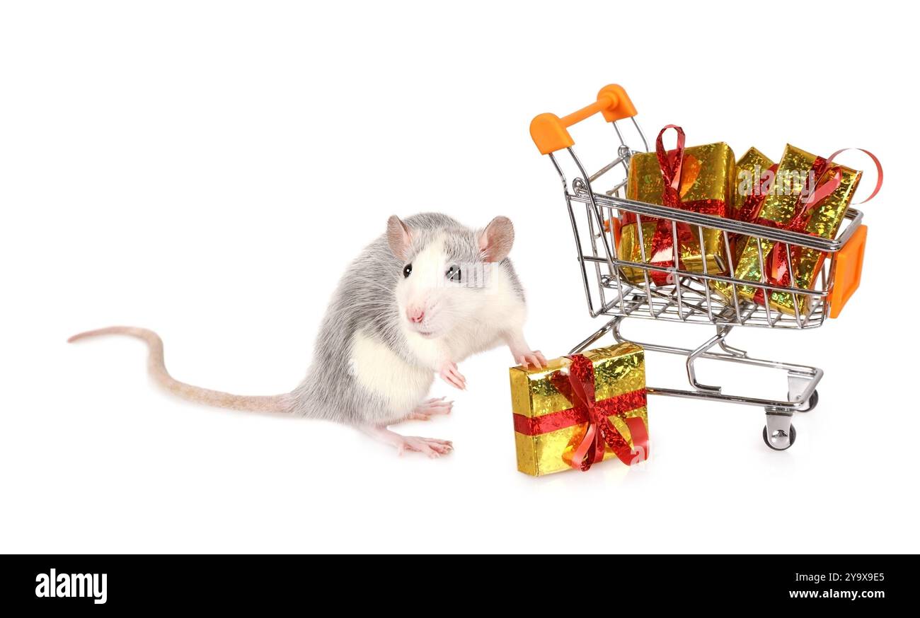 Little cute rat with gift box next to shopping cart full of gifts ...