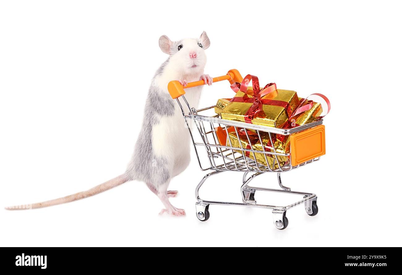 Little nice rat drives shopping cart full of gift boxes isolated on ...