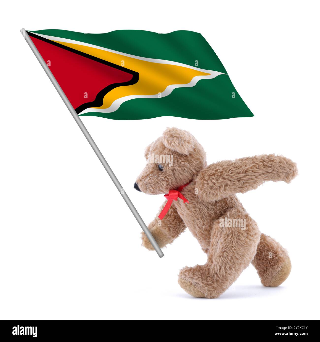 Guyana flag being carried by a cute teddy bear Stock Photo - Alamy