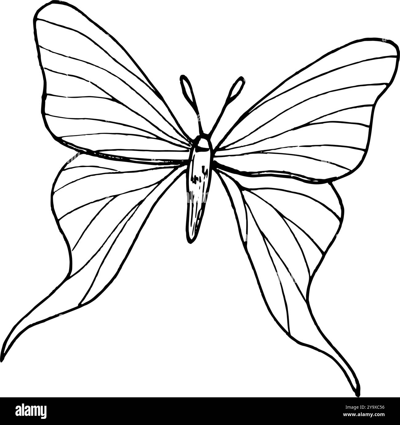 Monochrome fluttering butterfly vector illustration. Black and white ...