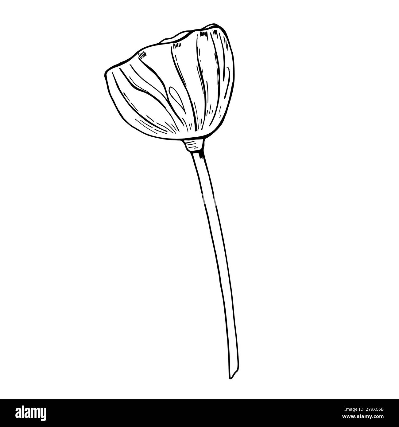 Flower and biodiversity Stock Vector Images - Alamy