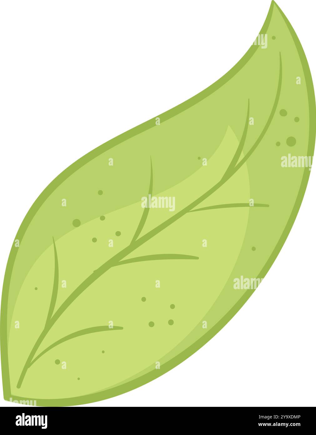 Green leaf with subtle texture on white background, vector illustration ...
