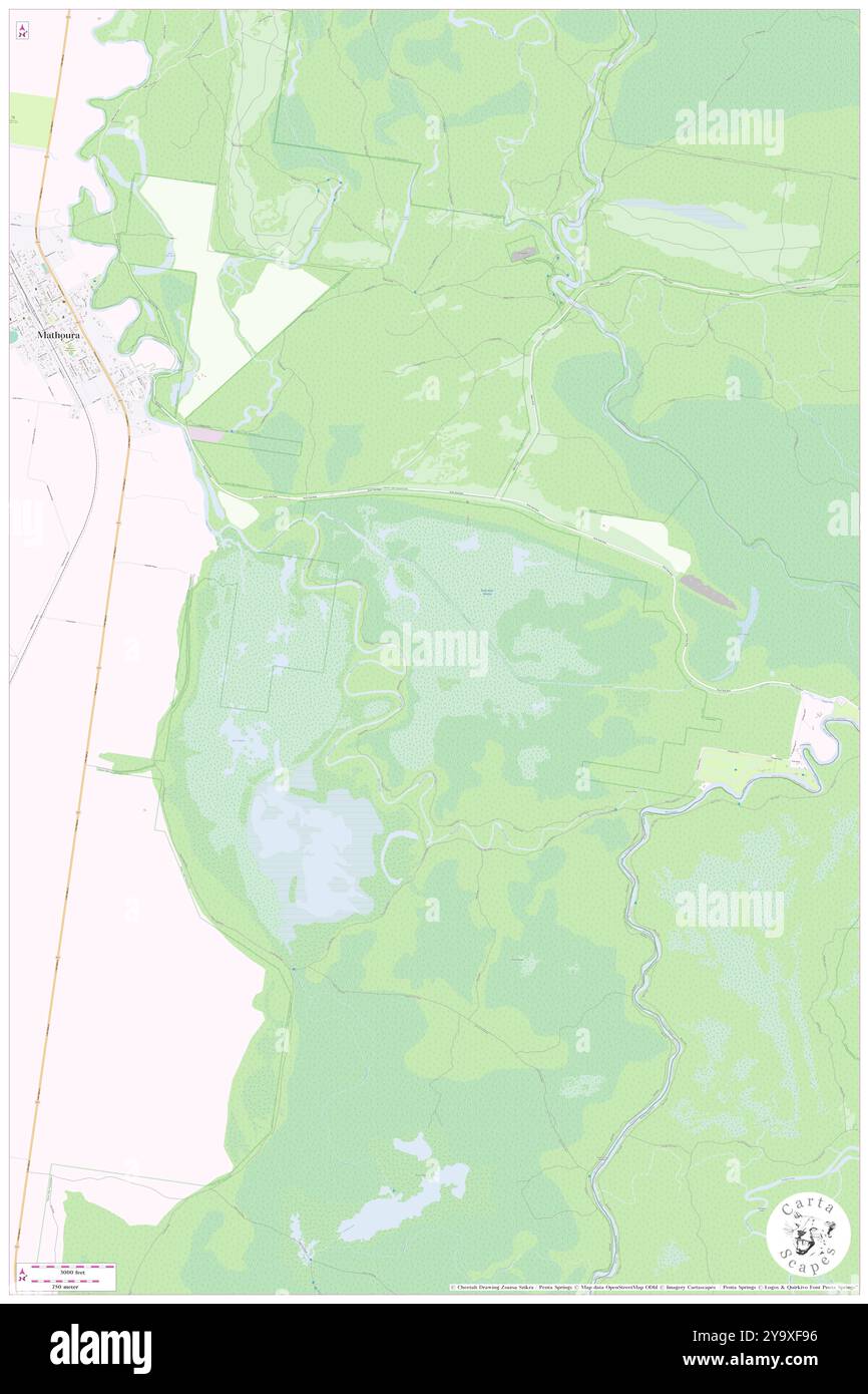 Swamp beds Cut Out Stock Images & Pictures - Alamy