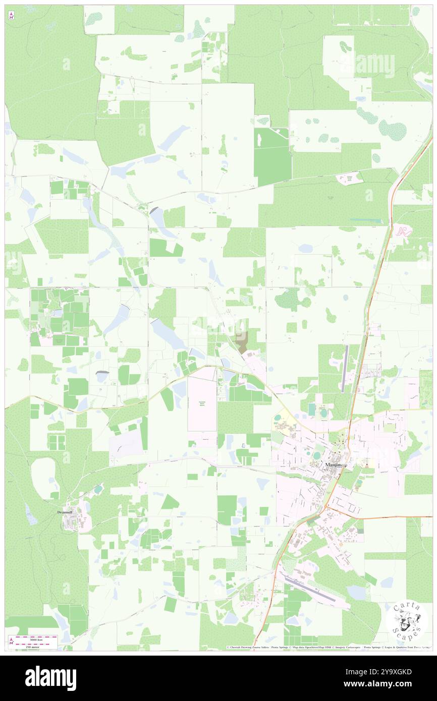 Ringbark hi-res stock photography and images - Alamy