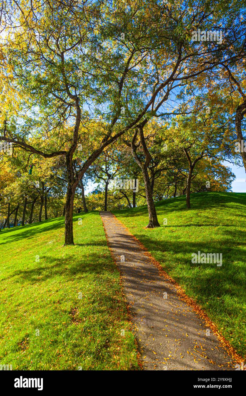 Tree covered walkway on Granville Island in Vancouver Canada Stock ...