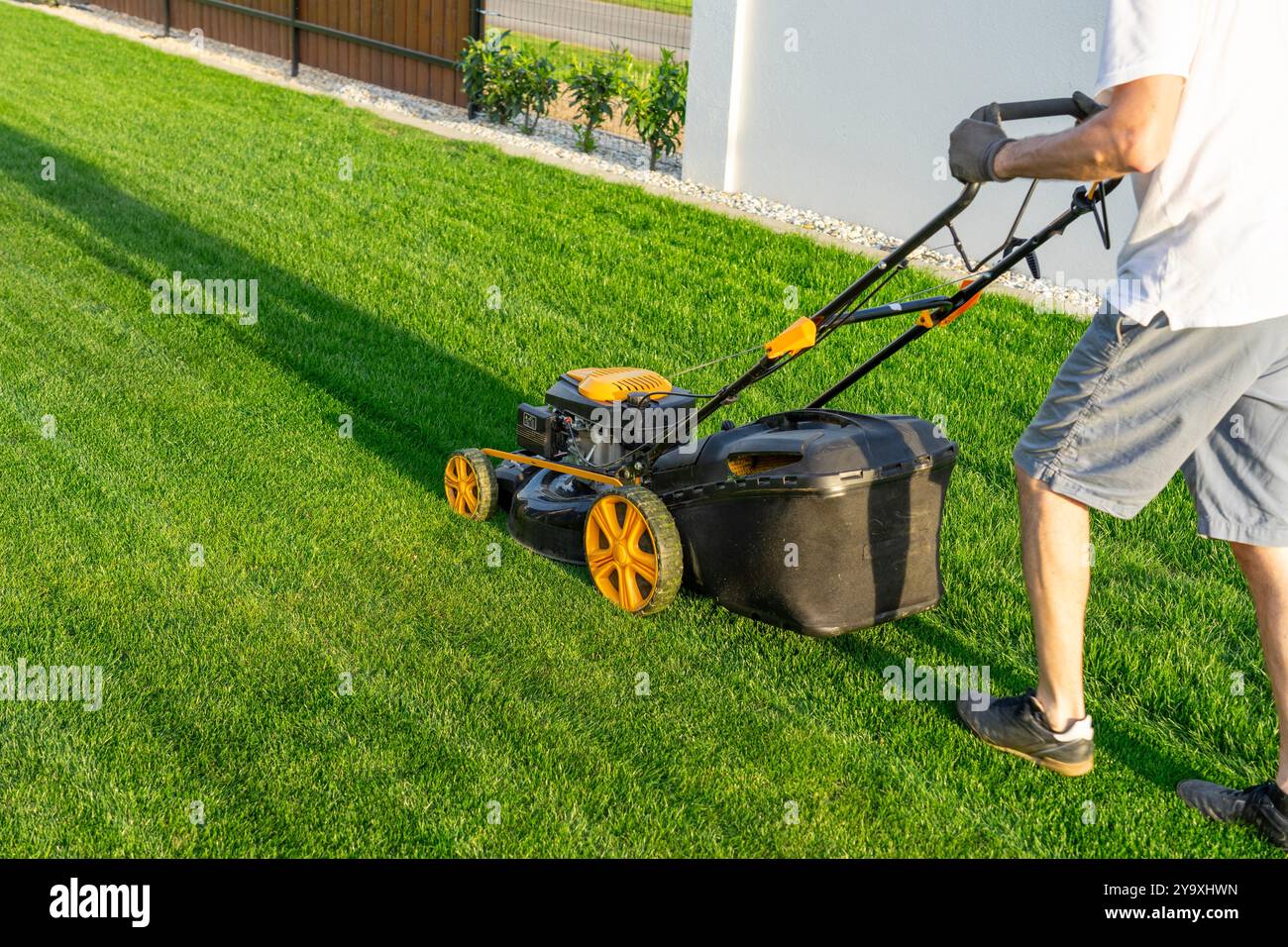 green grass cutting with lawn mower in home garden Stock Photo - Alamy