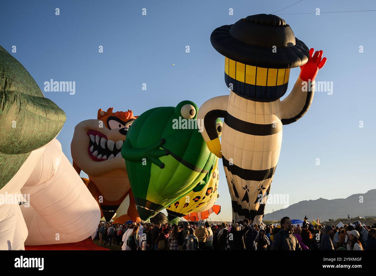 Albuquerque, United States. 11th Oct, 2024. Assorted special shape hot ...