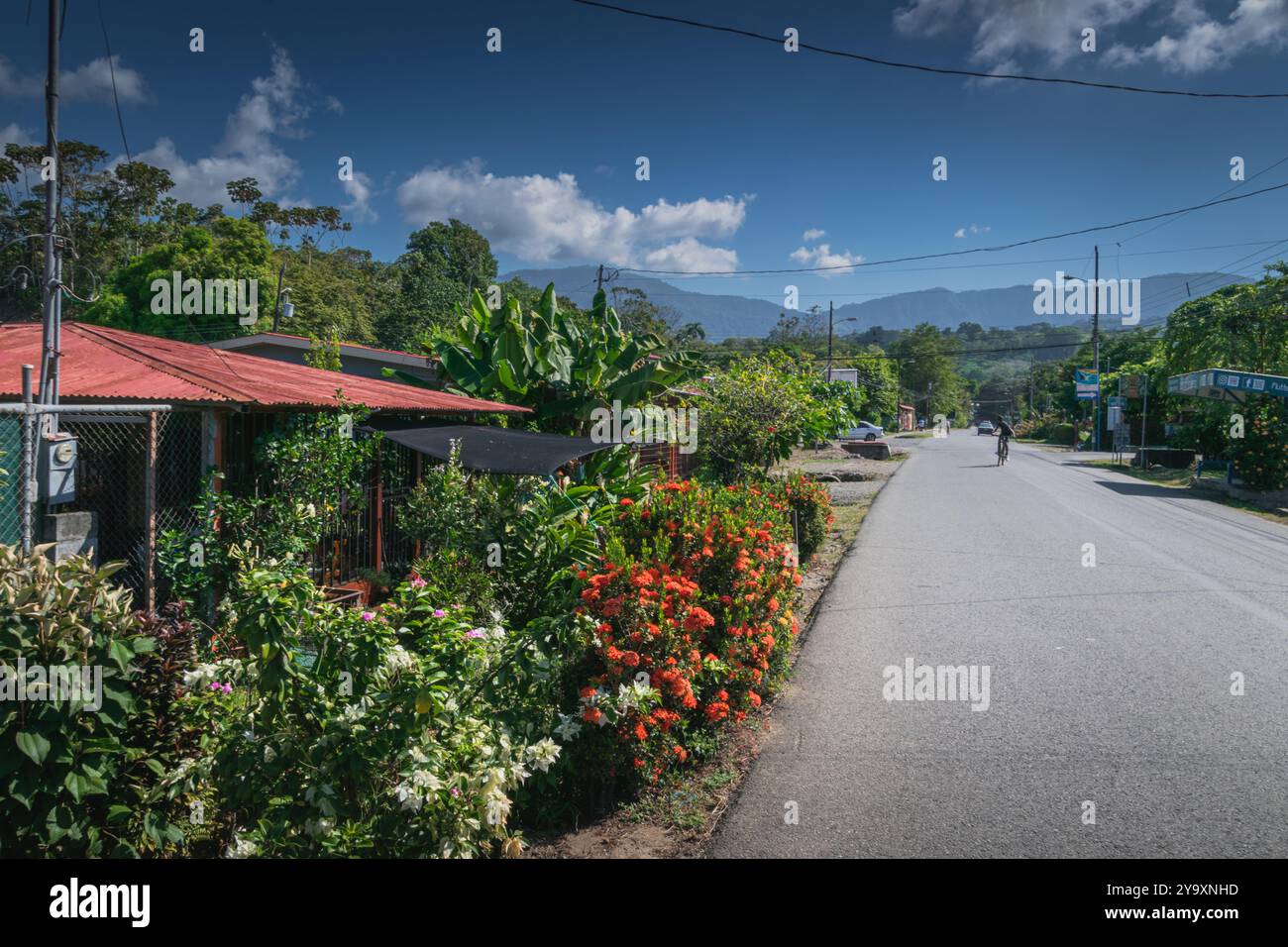 Paved road leading through a rural or semi-rural area with lush ...