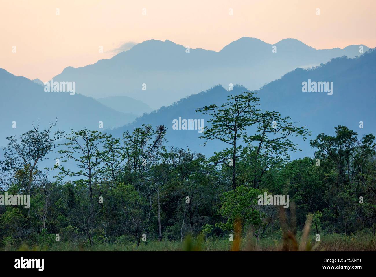 Manas national park landscape hi-res stock photography and images - Alamy