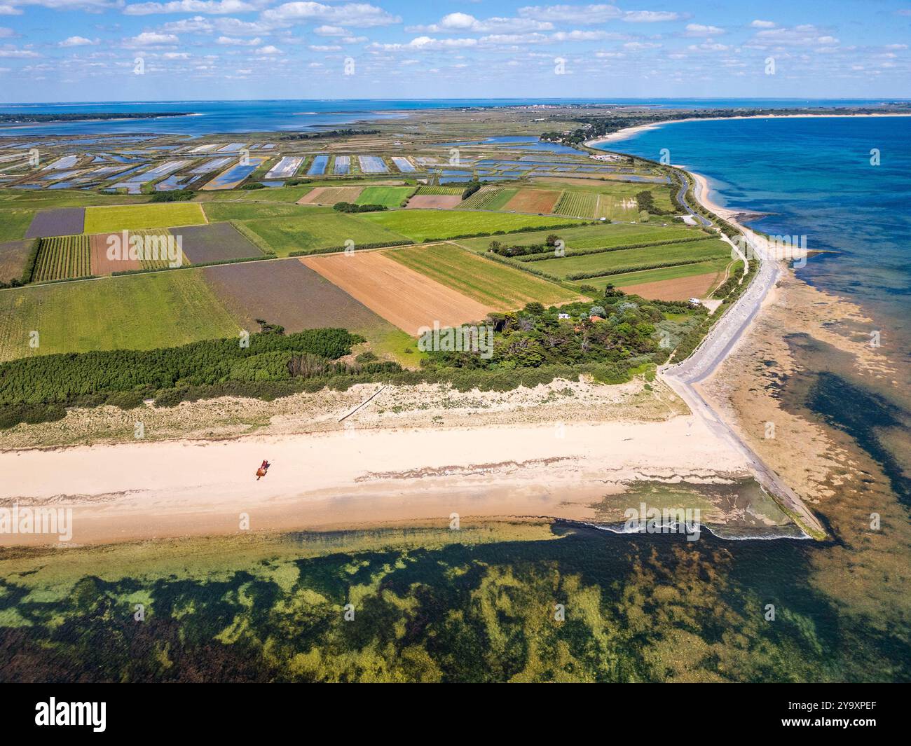 France, Charente-Maritime, Ile-de-Ré, Ars-en-Ré, labeled Les Plus Beaux ...