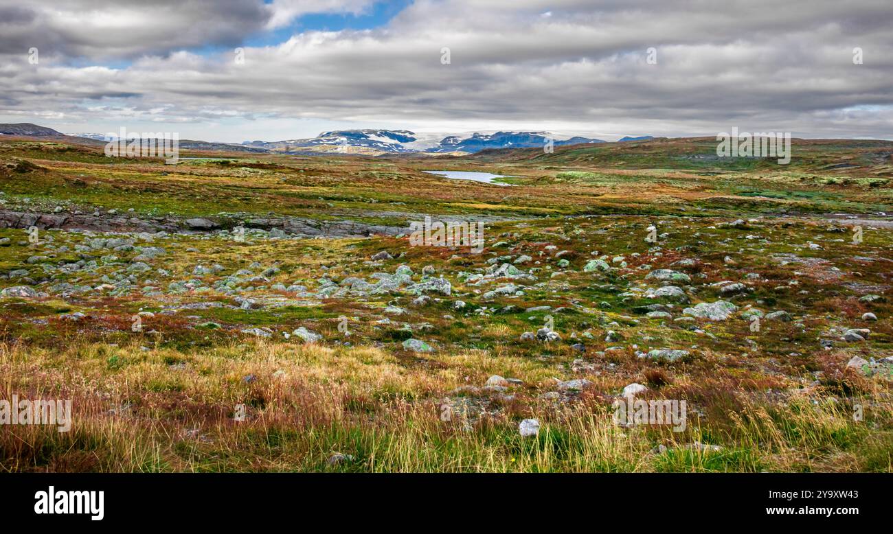 Norway, Buskerud, Fagerheim, Automn Colors and Hardangervidda National ...