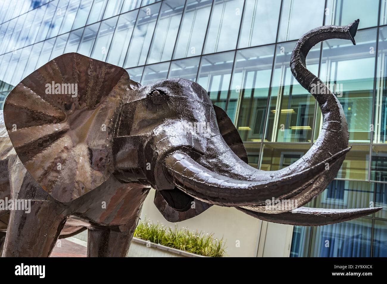 South Africa, Western Cape, Cape Victoria & Alfred Waterfront, elephant ...