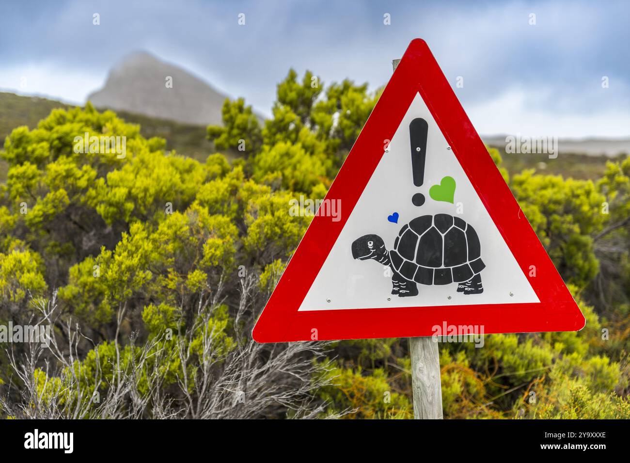 South Africa, Western Cape, Cape of Good Hope, Good Hope National Park ...