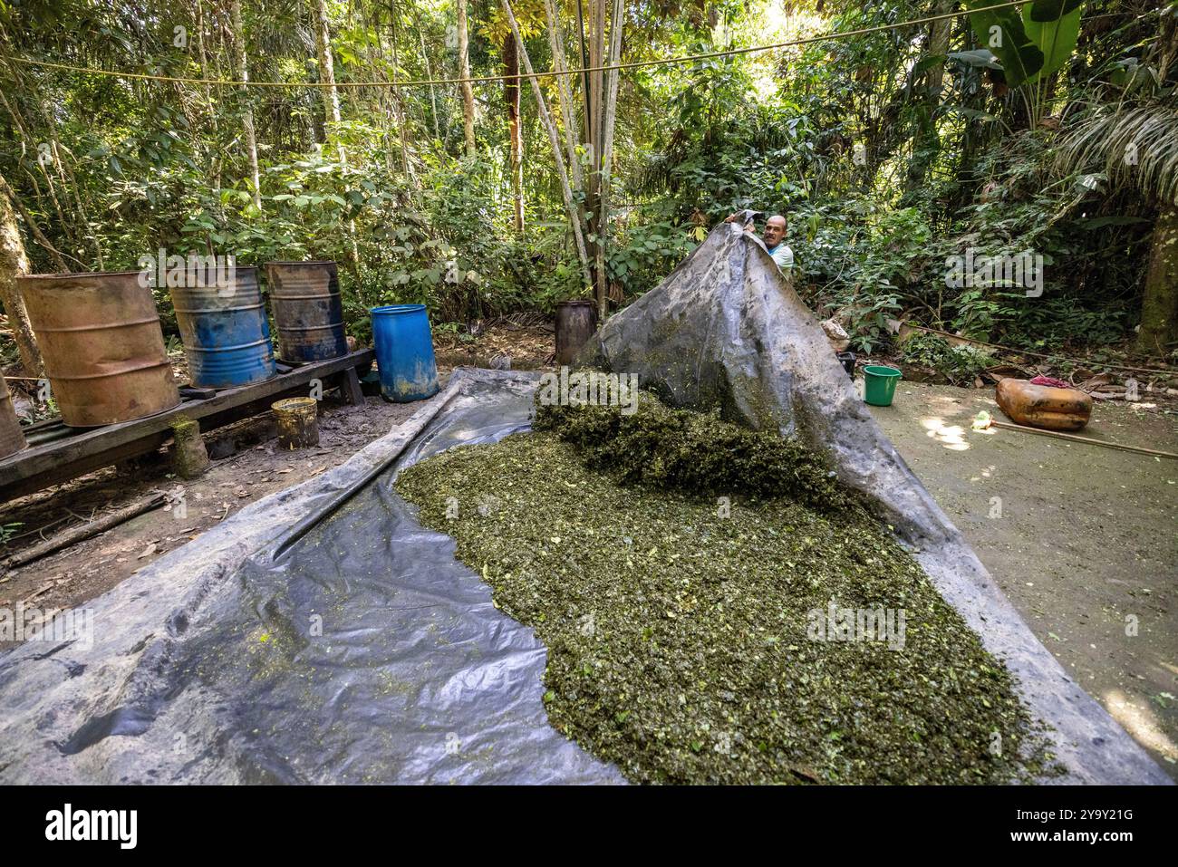 Colombia, Meta department, clandestine coca processing laboratory in ...