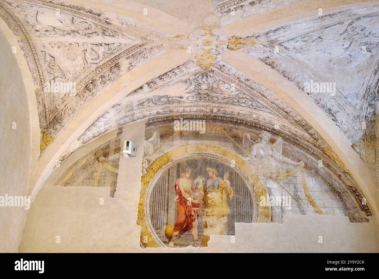 France, Paris, the MahJ (Museum of Jewish Art and History), the ...