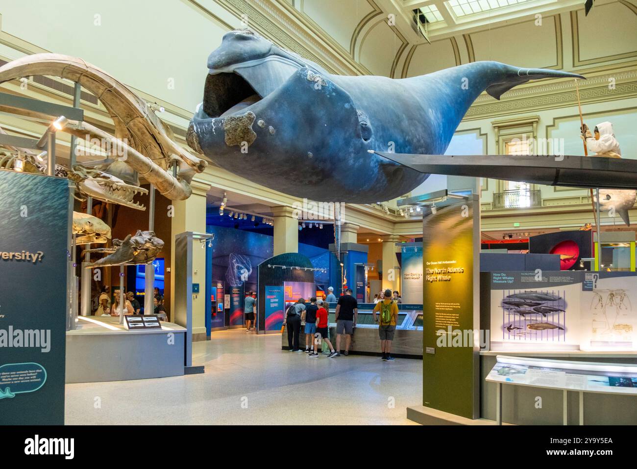 United States, Washington DC, Smithsonian Museum or National Natural ...