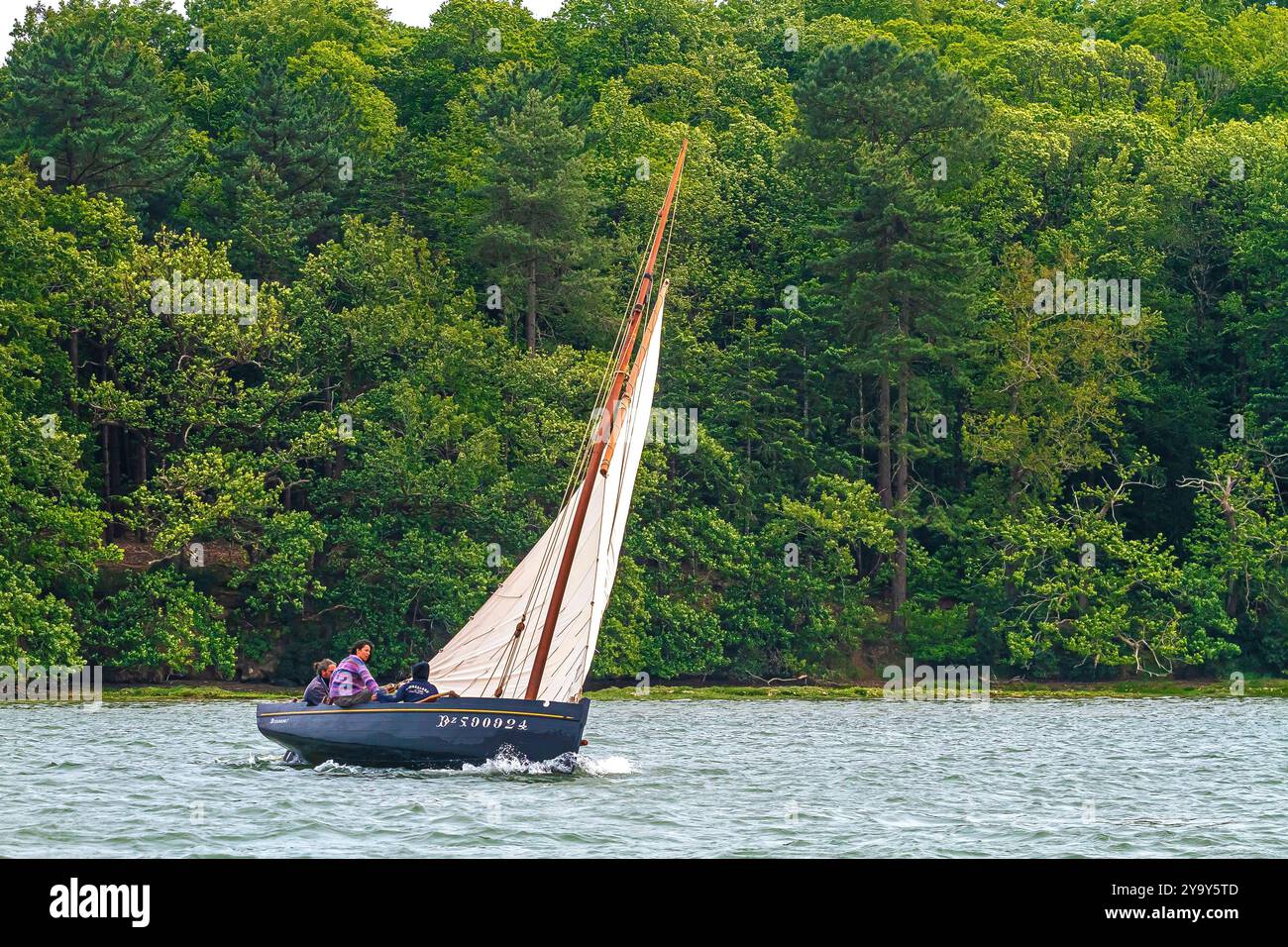 France, Morbihan, Gulf of Morbihan, Auray, Moïra, Baden foresail boat ...
