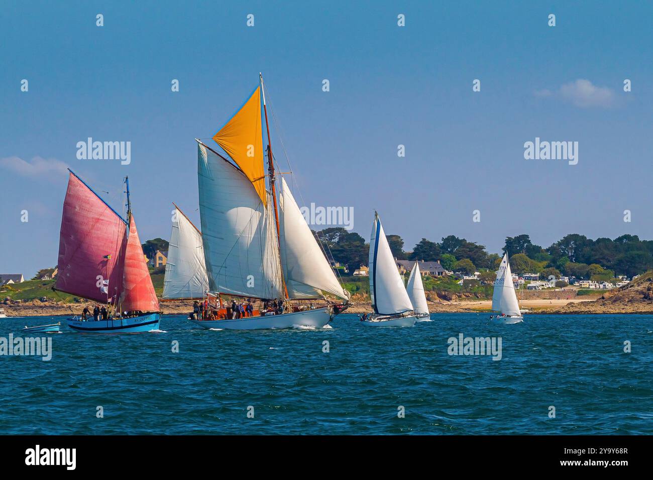France, Morbihan, Gulf of Morbihan, the Indomptable, horned sloop, and ...