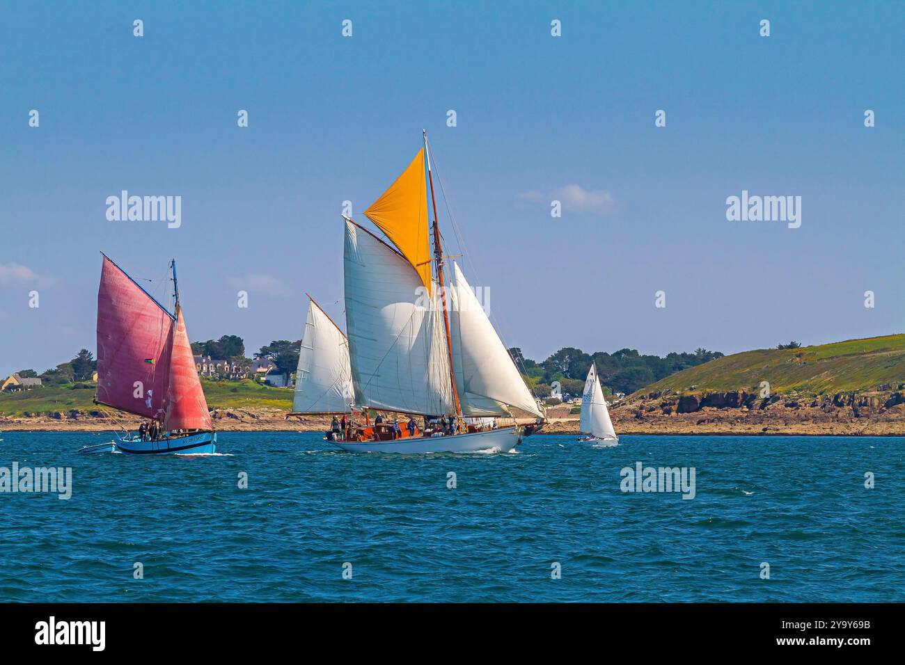 France, Morbihan, Gulf of Morbihan, the Indomptable, horned sloop, and ...