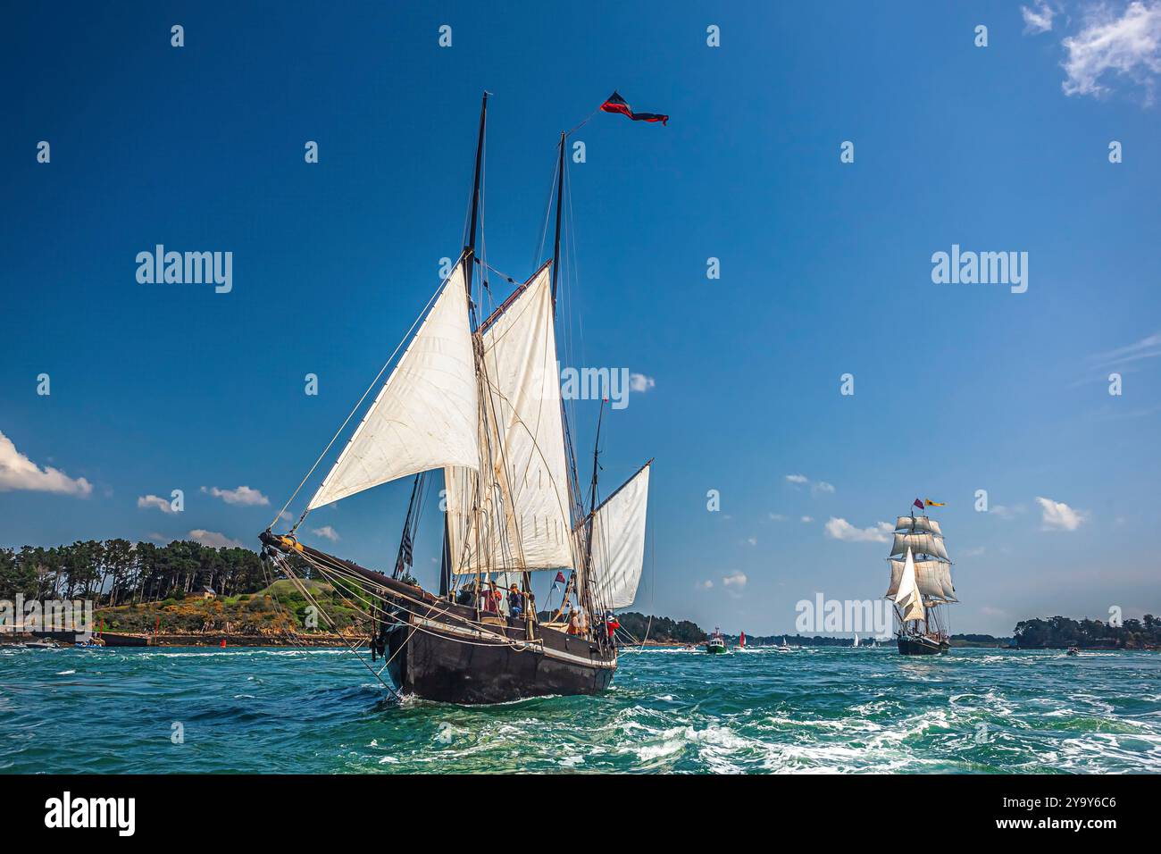 France, Morbihan, Gulf of Morbihan, Arzon, Port Navalo, Grayhound ...