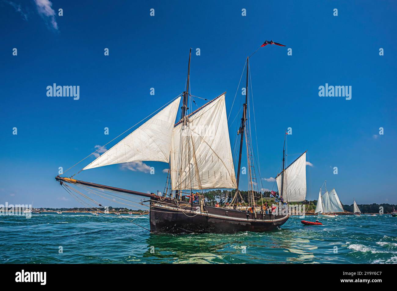 France, Morbihan, Gulf of Morbihan, Arzon, Port Navalo, Grayhound ...