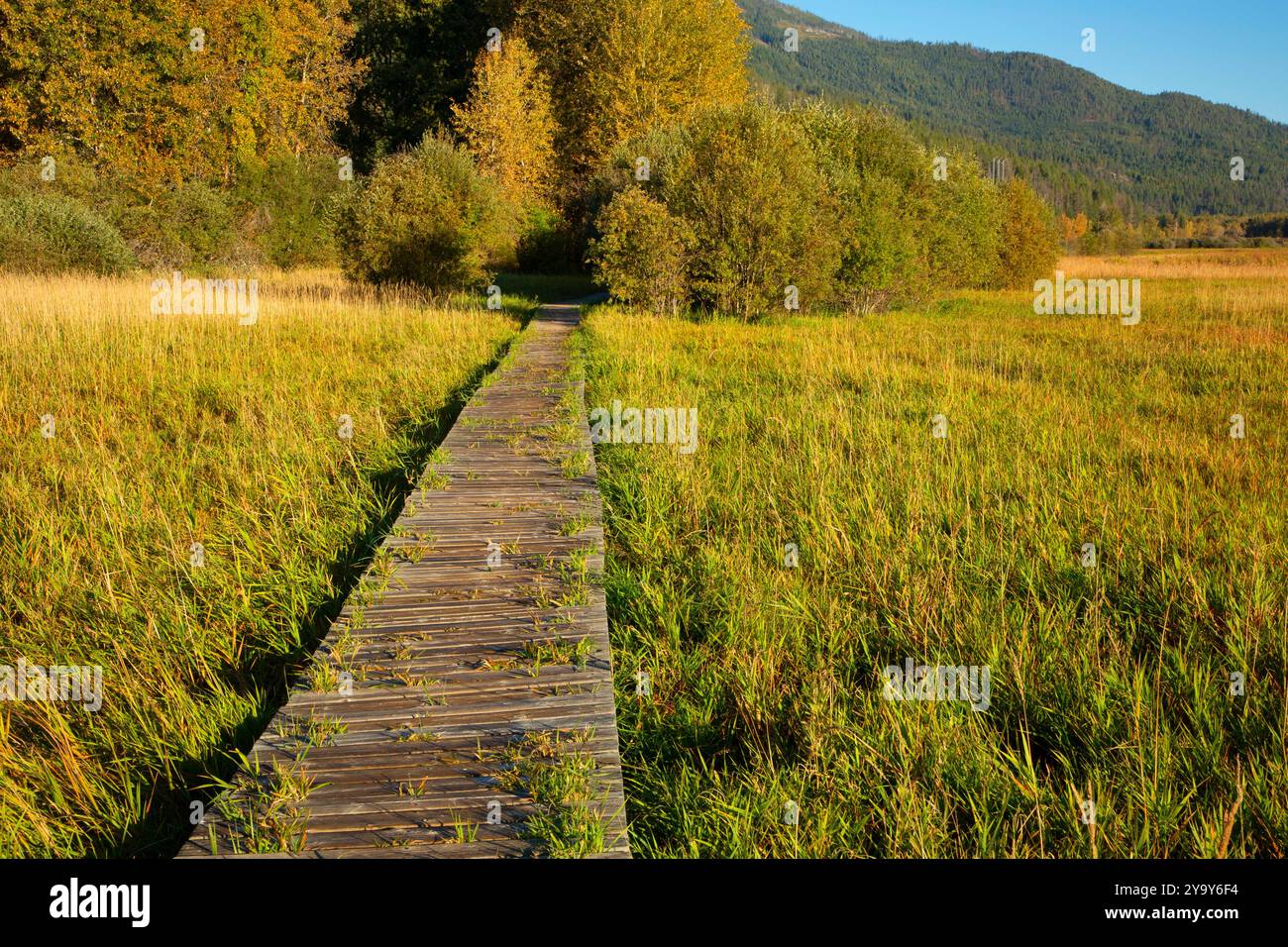 Boardwalk, Creston Valley Wildlife Management Area, British Columbia ...