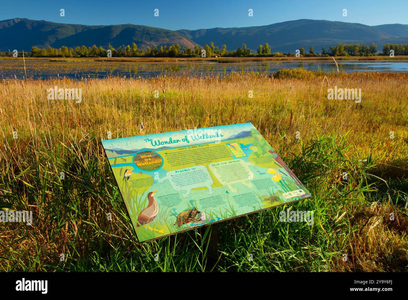 Interpretive board along Marsh Trail, Creston Valley Wildlife ...