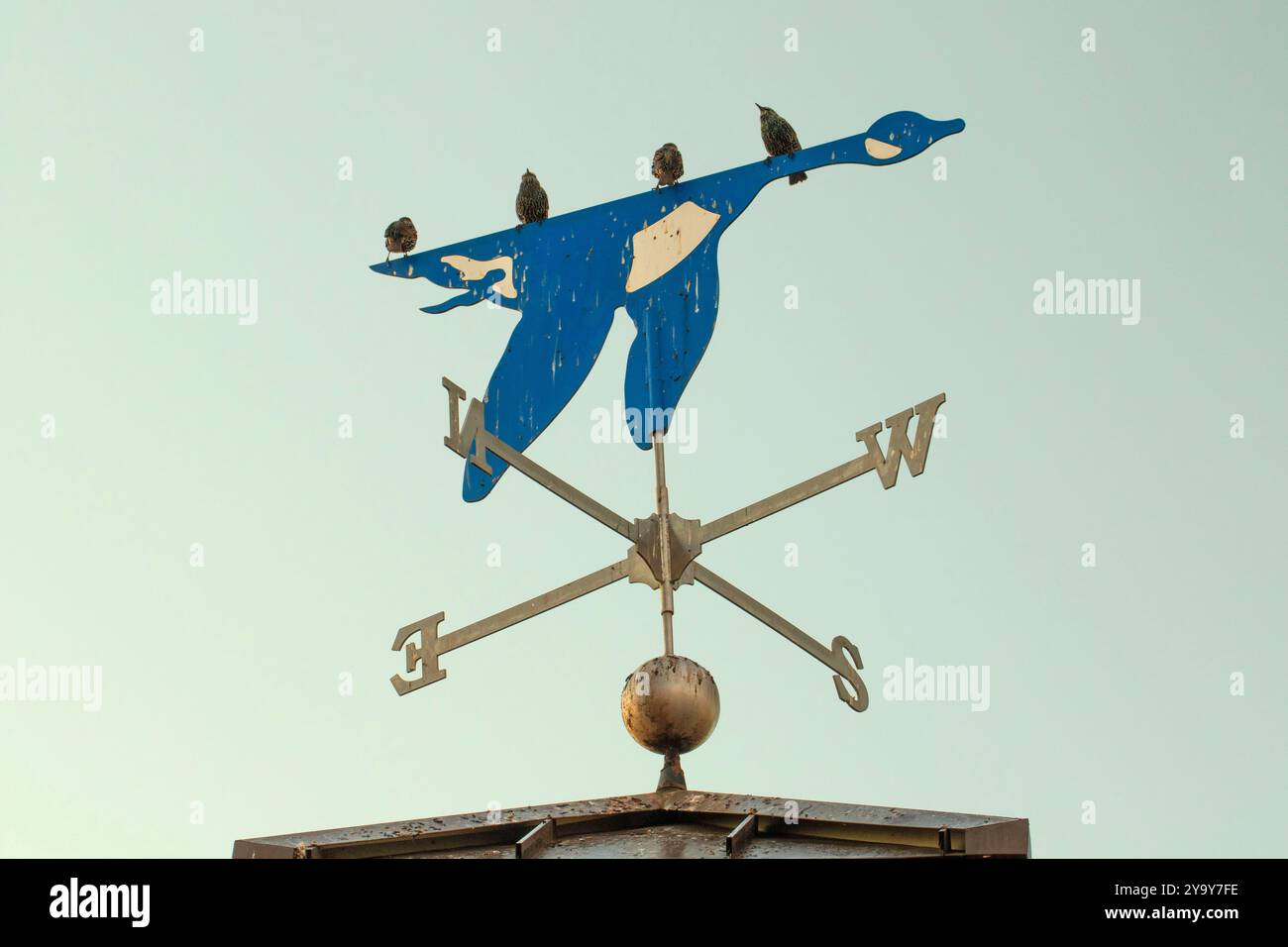 Usfws symbol hi-res stock photography and images - Alamy