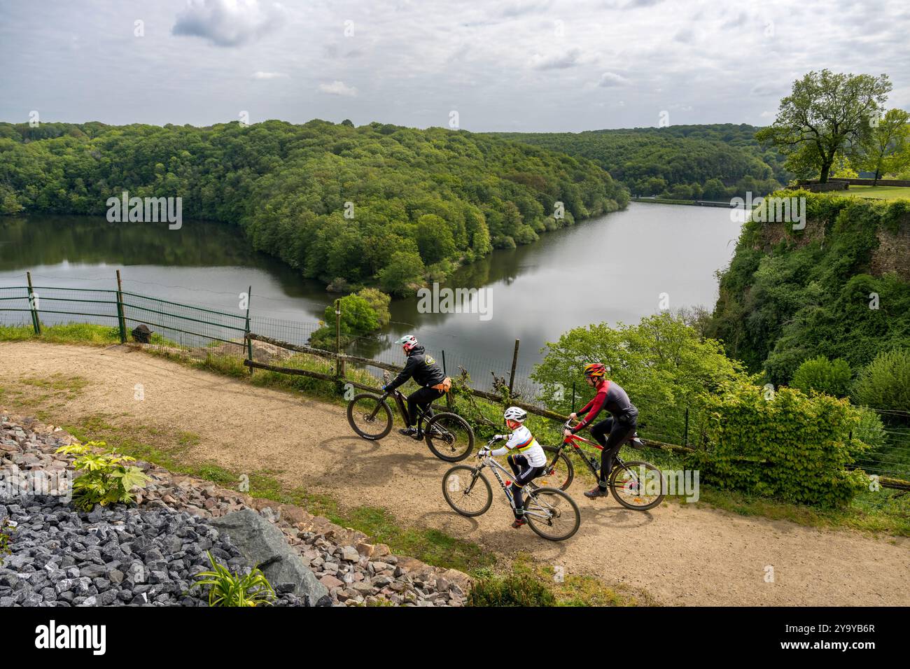 France, Vendee, Mervent, Mervent forest where the waters of the Mother ...