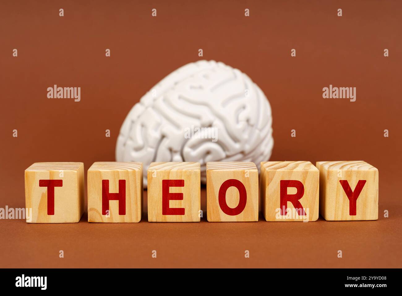 Colorful wooden blocks spell out theory in front of a detailed brain ...