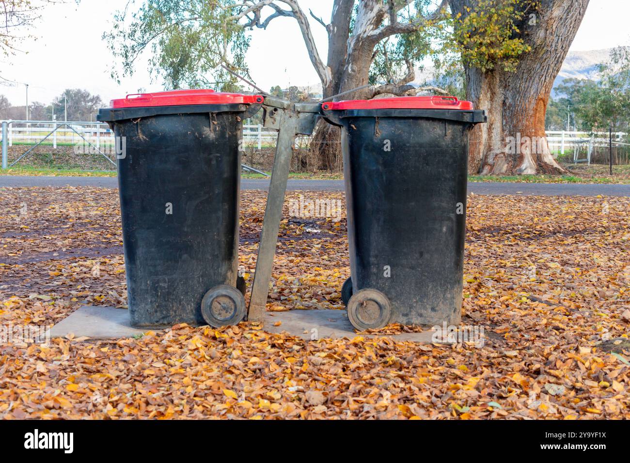 Photograph of two council rubbish bins placed side by side in a public ...