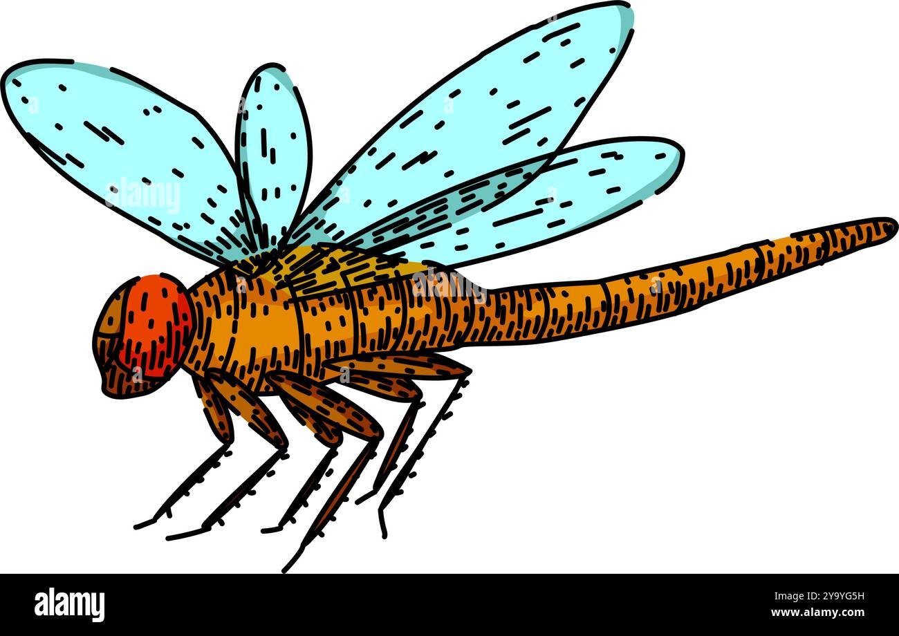 wings dragonfly sketch hand drawn vector Stock Vector Image & Art - Alamy