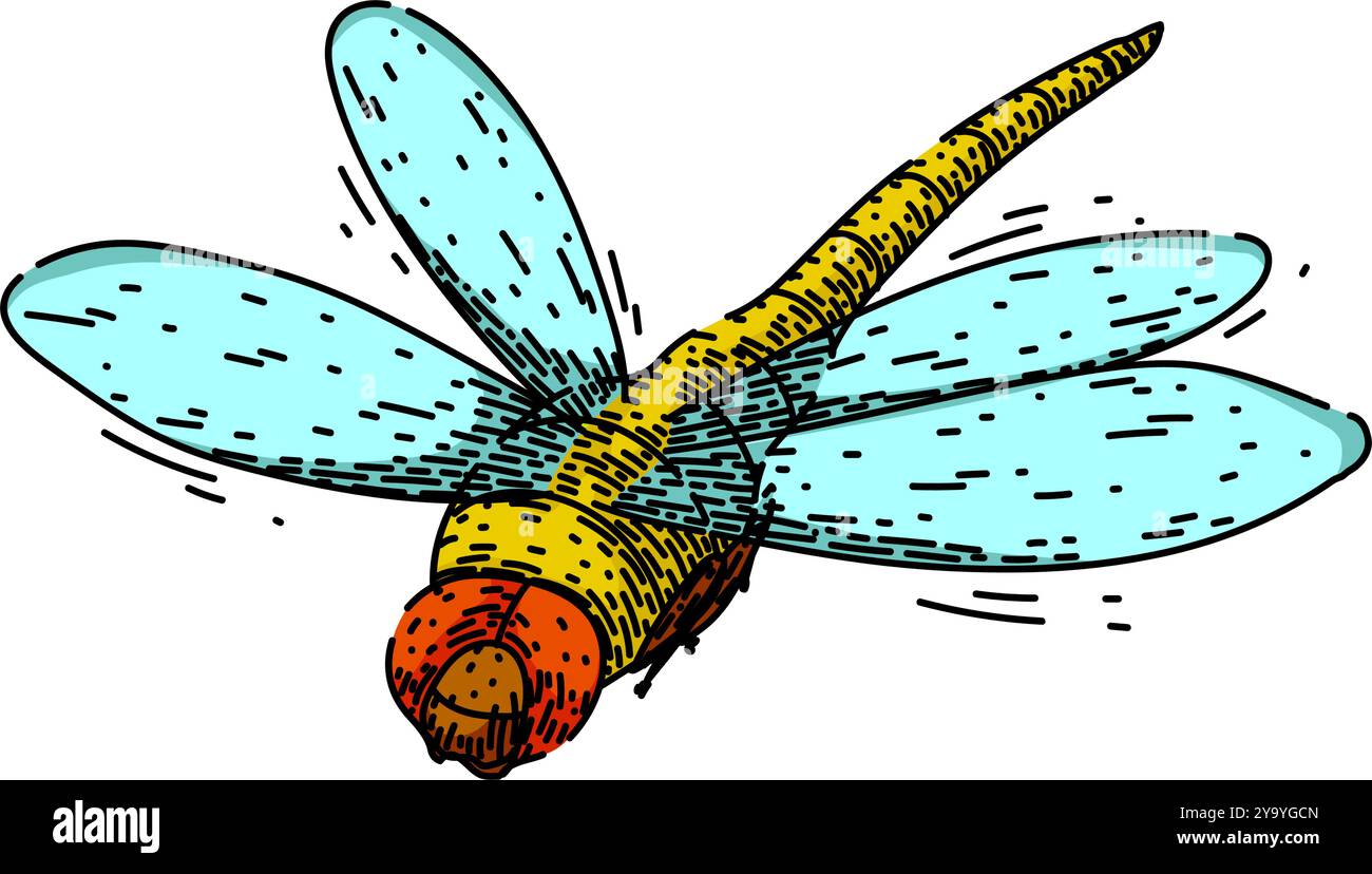 flight dragonfly sketch hand drawn vector Stock Vector Image & Art - Alamy