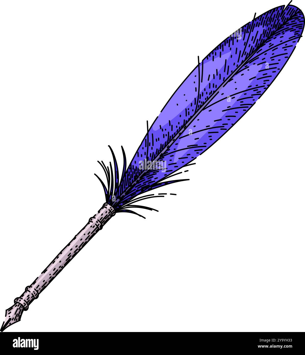 writing quill pen sketch hand drawn vector Stock Vector Image & Art - Alamy writing quill pen sketch hand drawn vector Stock Vector Image & Art - Alamy
