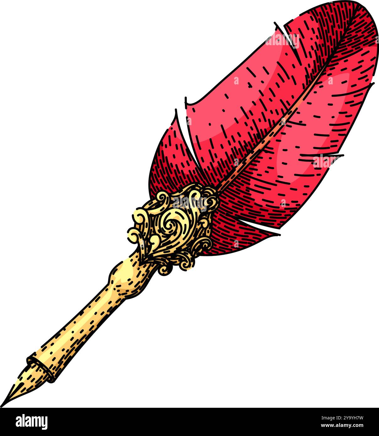 calligraphy quill pen sketch hand drawn vector Stock Vector Image & Art ... calligraphy quill pen sketch hand drawn vector Stock Vector Image & Art ...