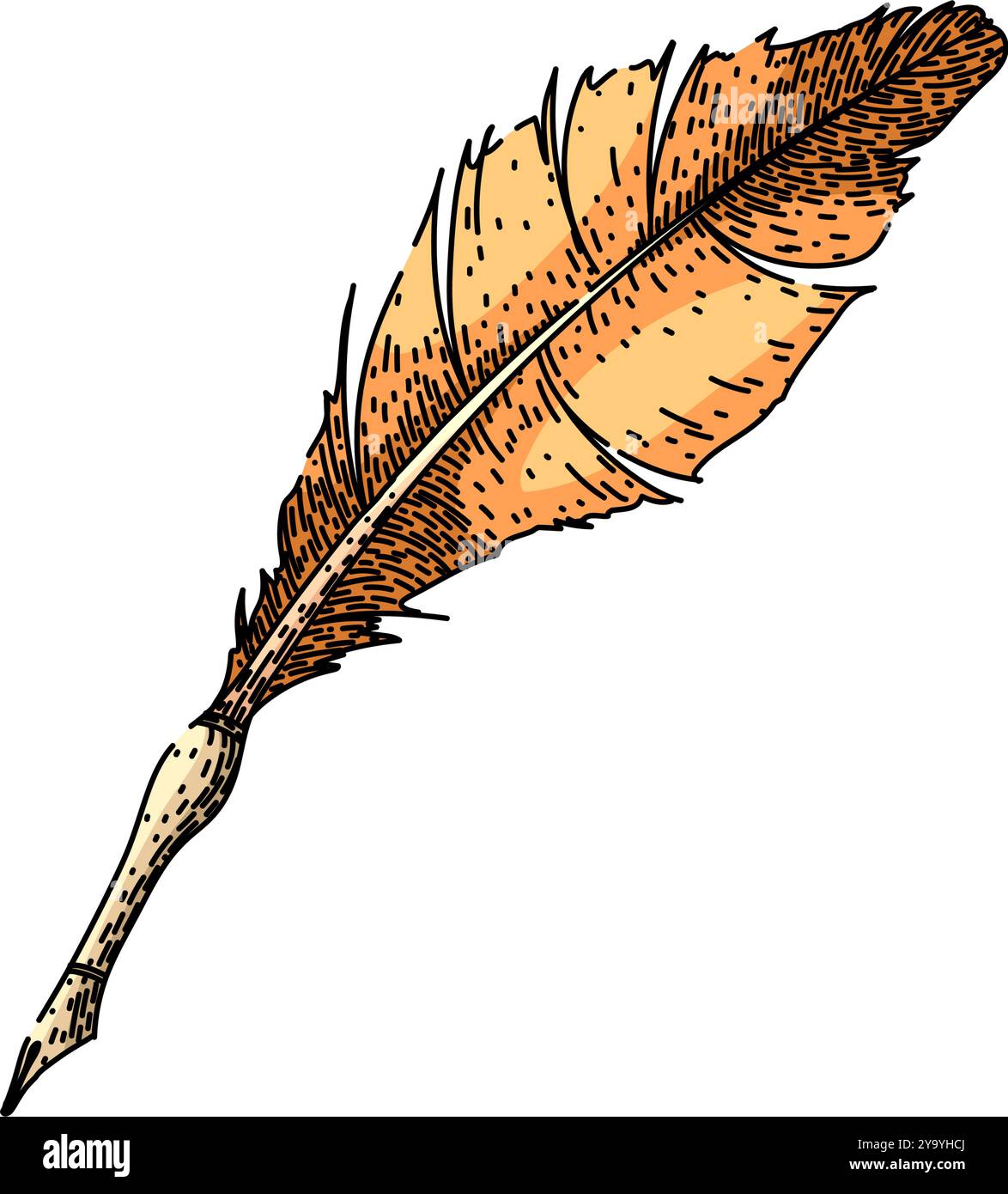 dip quill pen sketch hand drawn vector Stock Vector Image & Art - Alamy