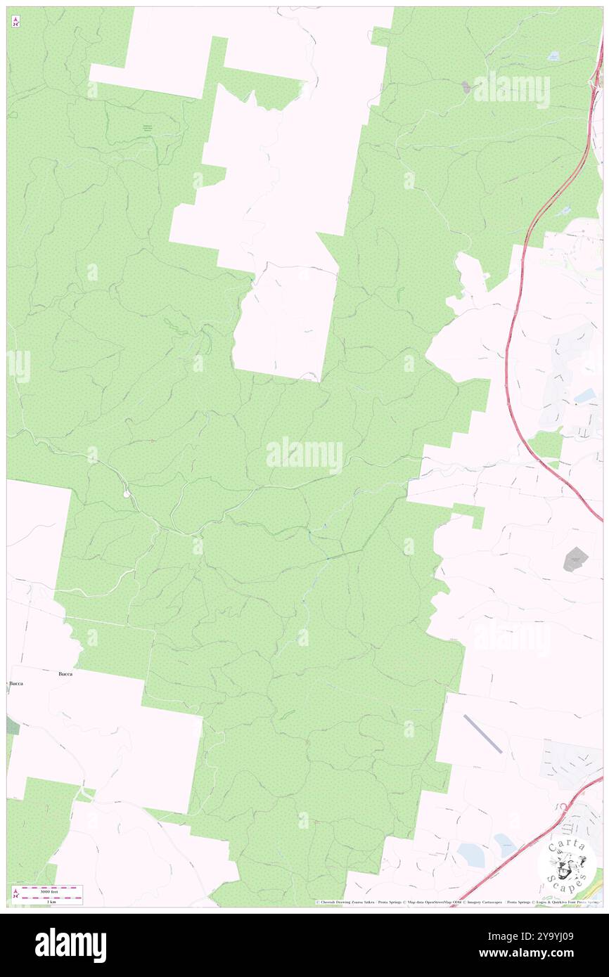 Woolgoolga Creek Flora Reserve, , AU, Australia, New South Wales, S 30 ...