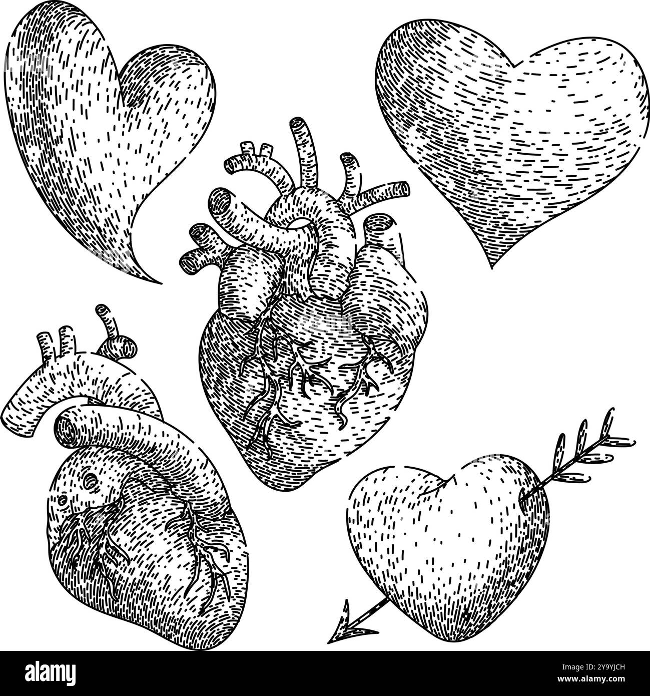 heart set sketch hand drawn vector Stock Vector Image & Art - Alamy