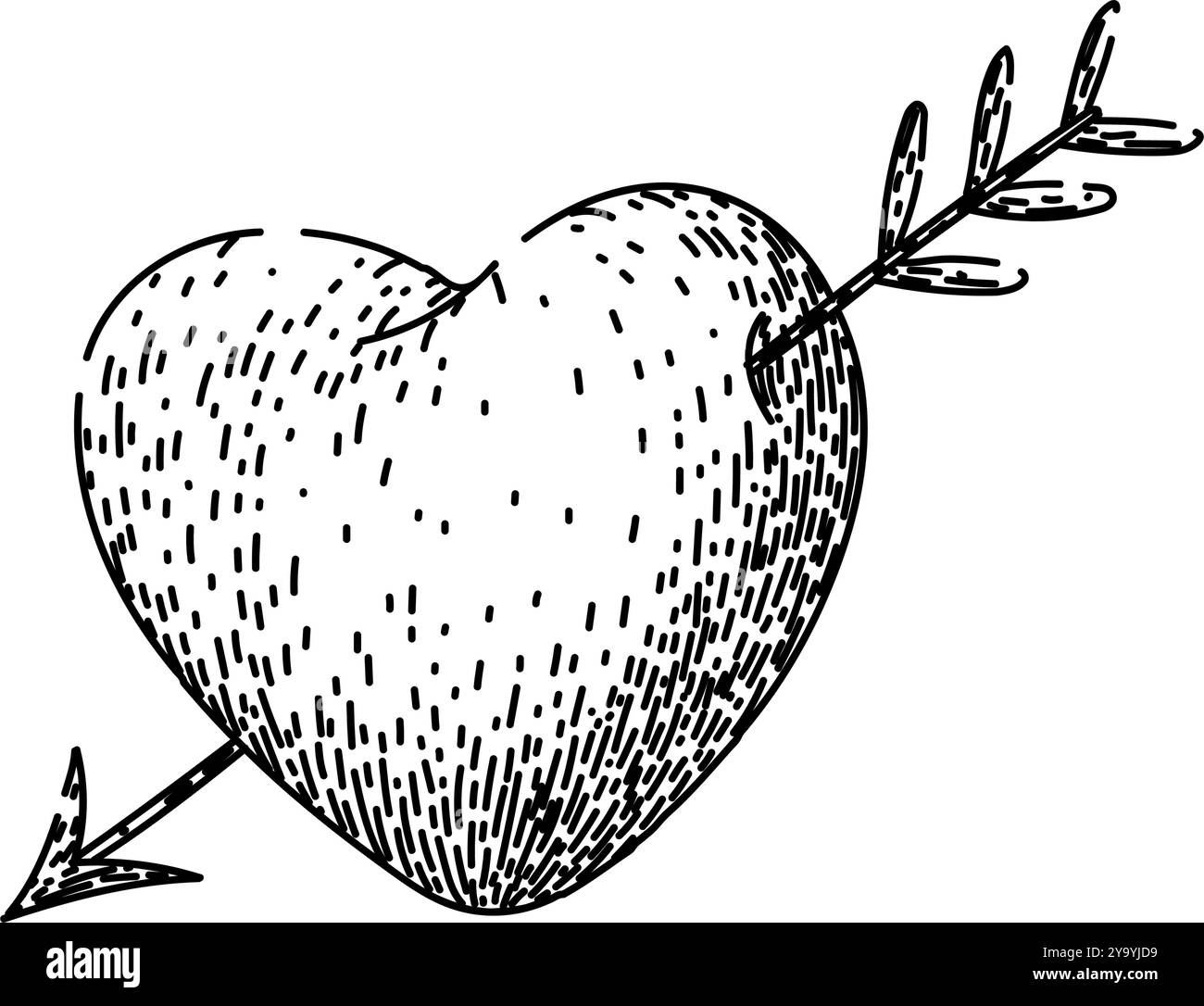 cardiovascular heart sketch hand drawn vector Stock Vector Image & Art ...