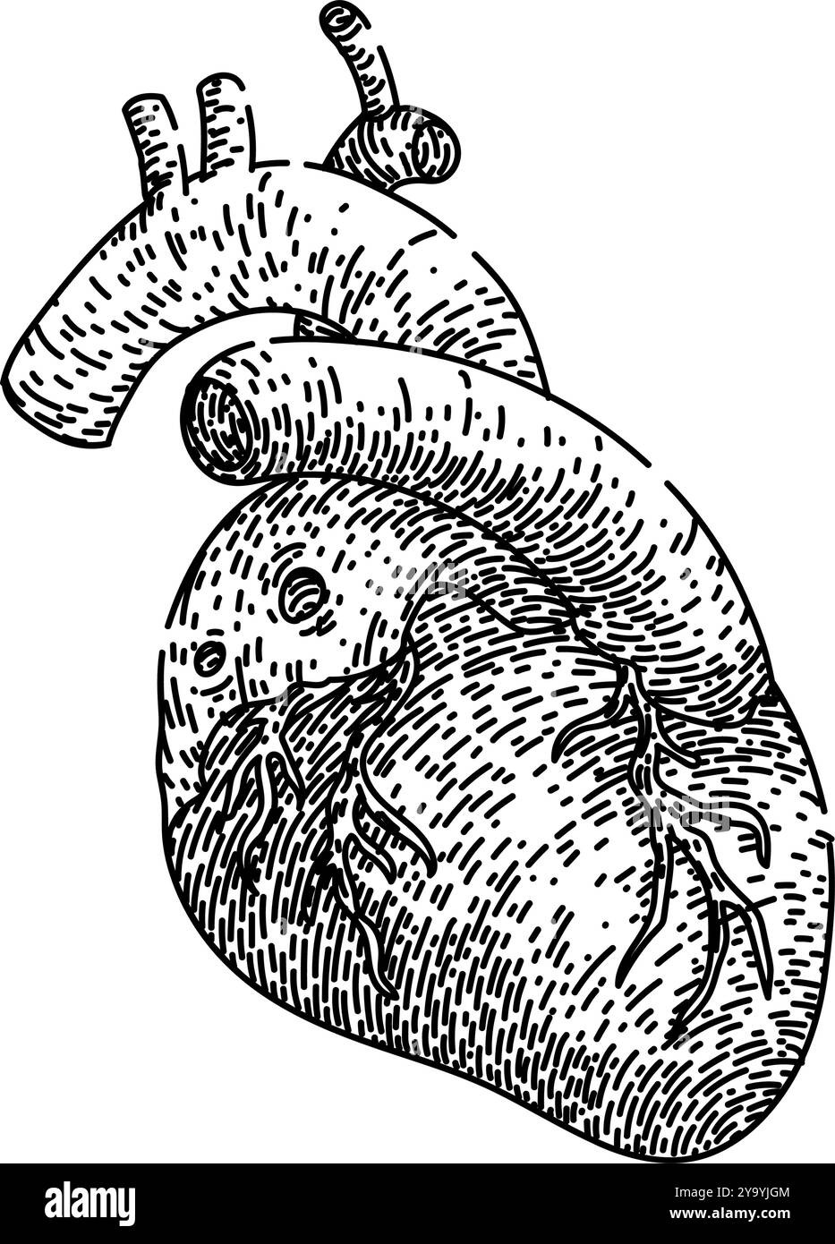 Heart electrocardiogram hand drawn hi-res stock photography and images ...