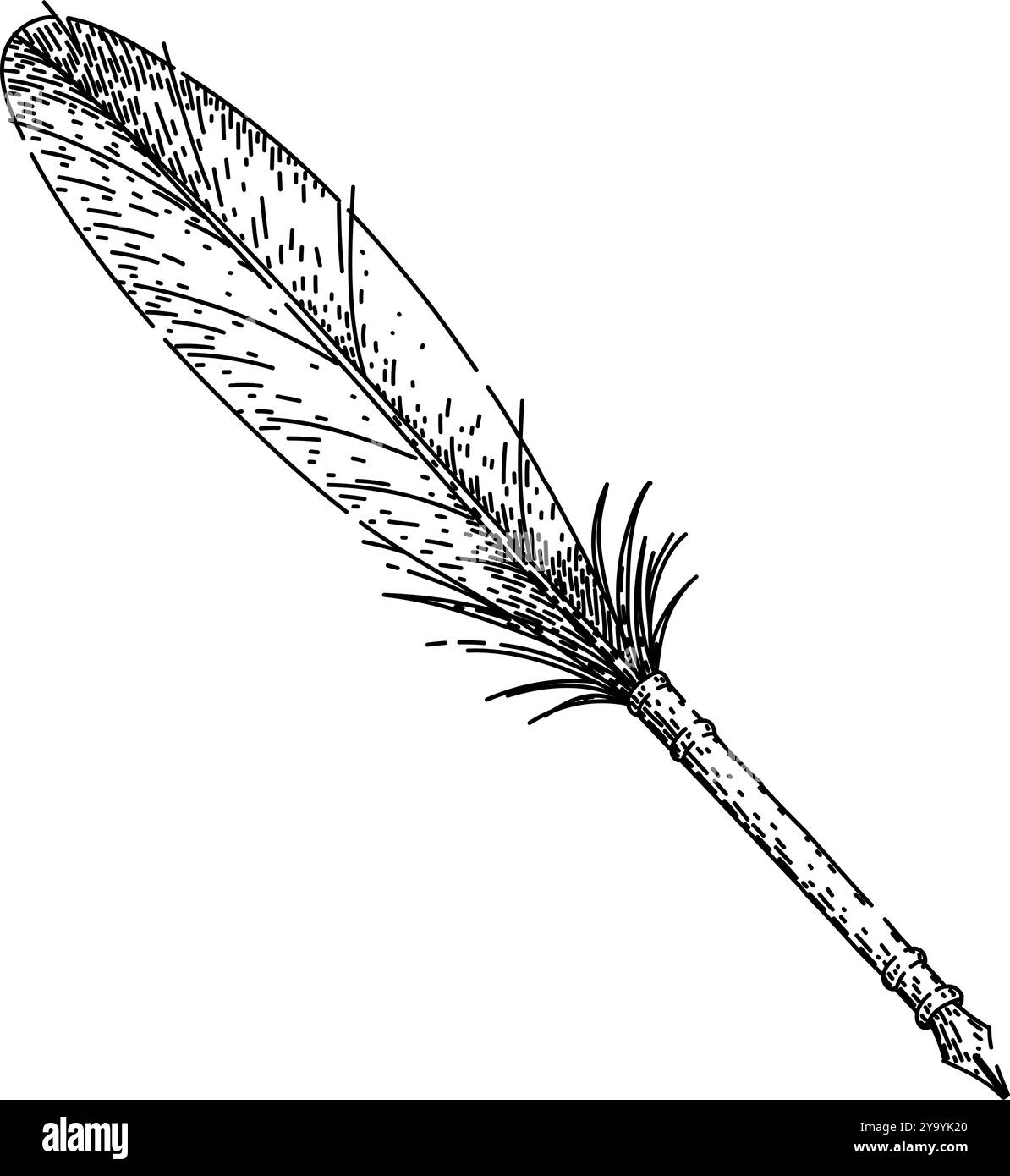 writing quill pen sketch hand drawn vector Stock Vector Image & Art - Alamy writing quill pen sketch hand drawn vector Stock Vector Image & Art - Alamy