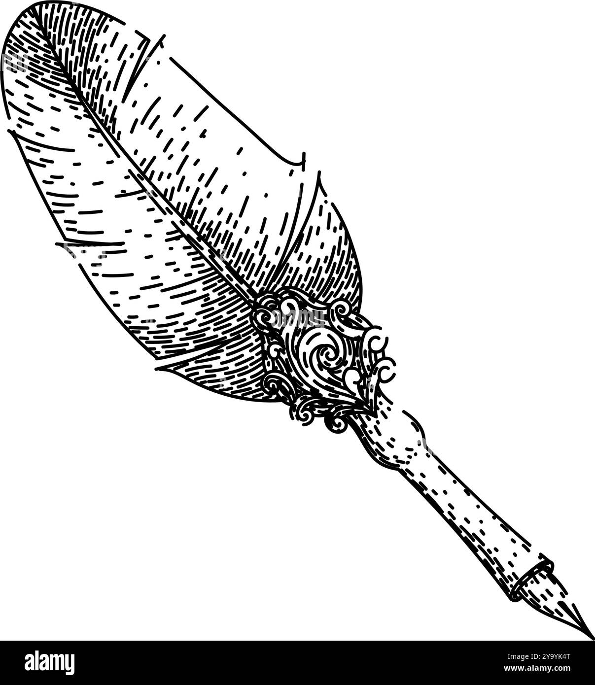 calligraphy quill pen sketch hand drawn vector Stock Vector Image & Art ...