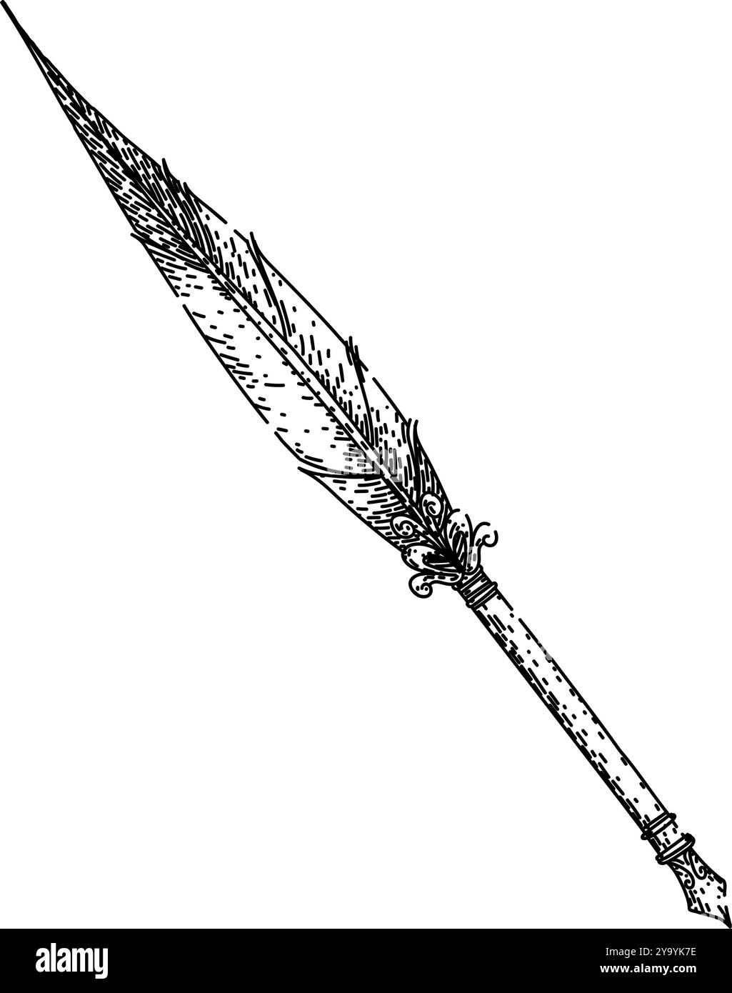 feather quill pen sketch hand drawn vector Stock Vector Image & Art - Alamy