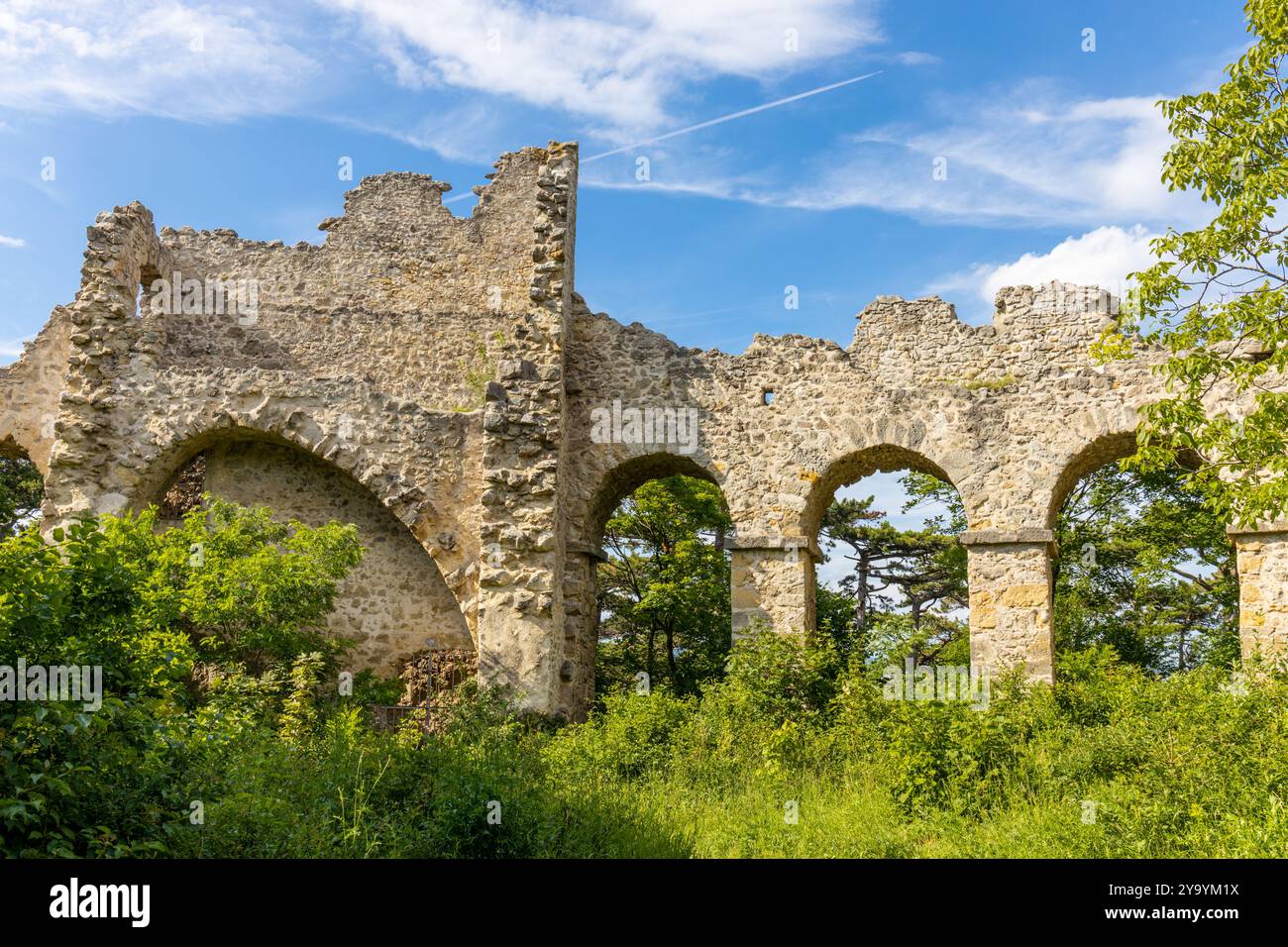 Medieval castle Burg Liechtenstein in Vienna, Austria. Ancient fortress ...